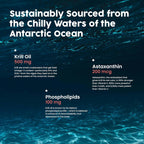 Natural krill oil supplement