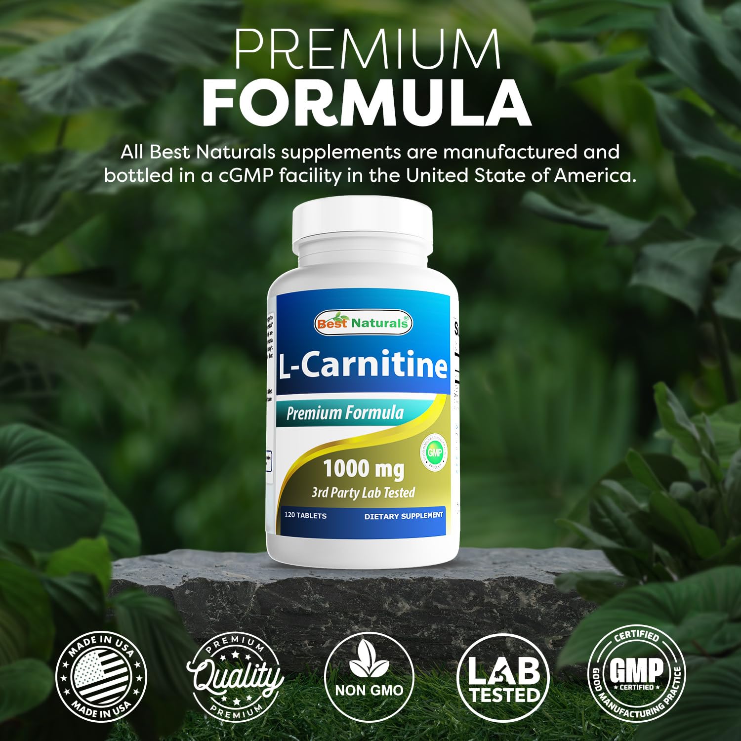 natural l-carnitine for fat metabolism