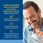 natural l-carnitine for mental clarity