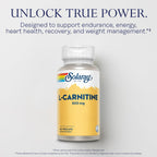 natural l-carnitine supplement benefits