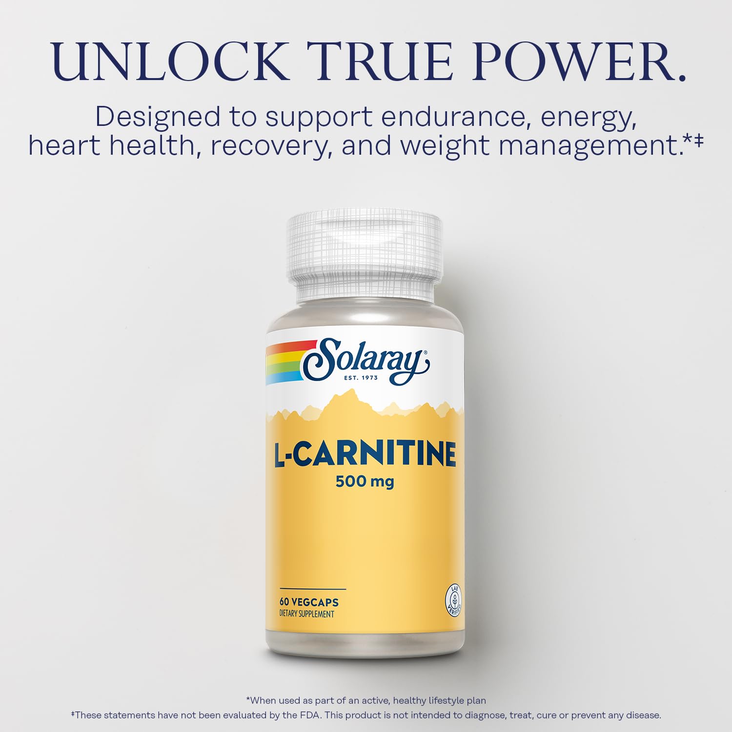 natural l-carnitine supplement benefits