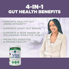 natural l-glutamine for digestive support