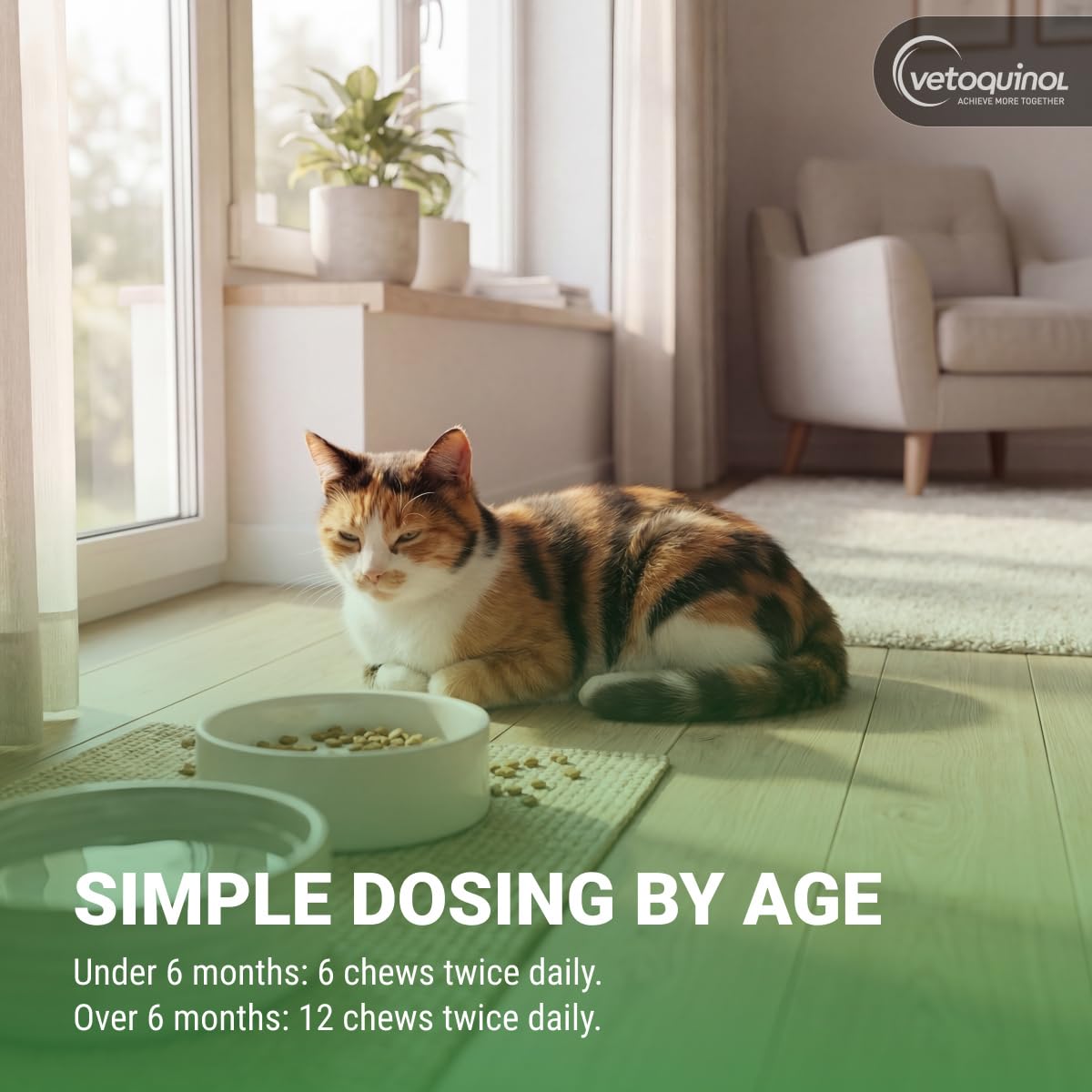 natural l-lysine chews for health