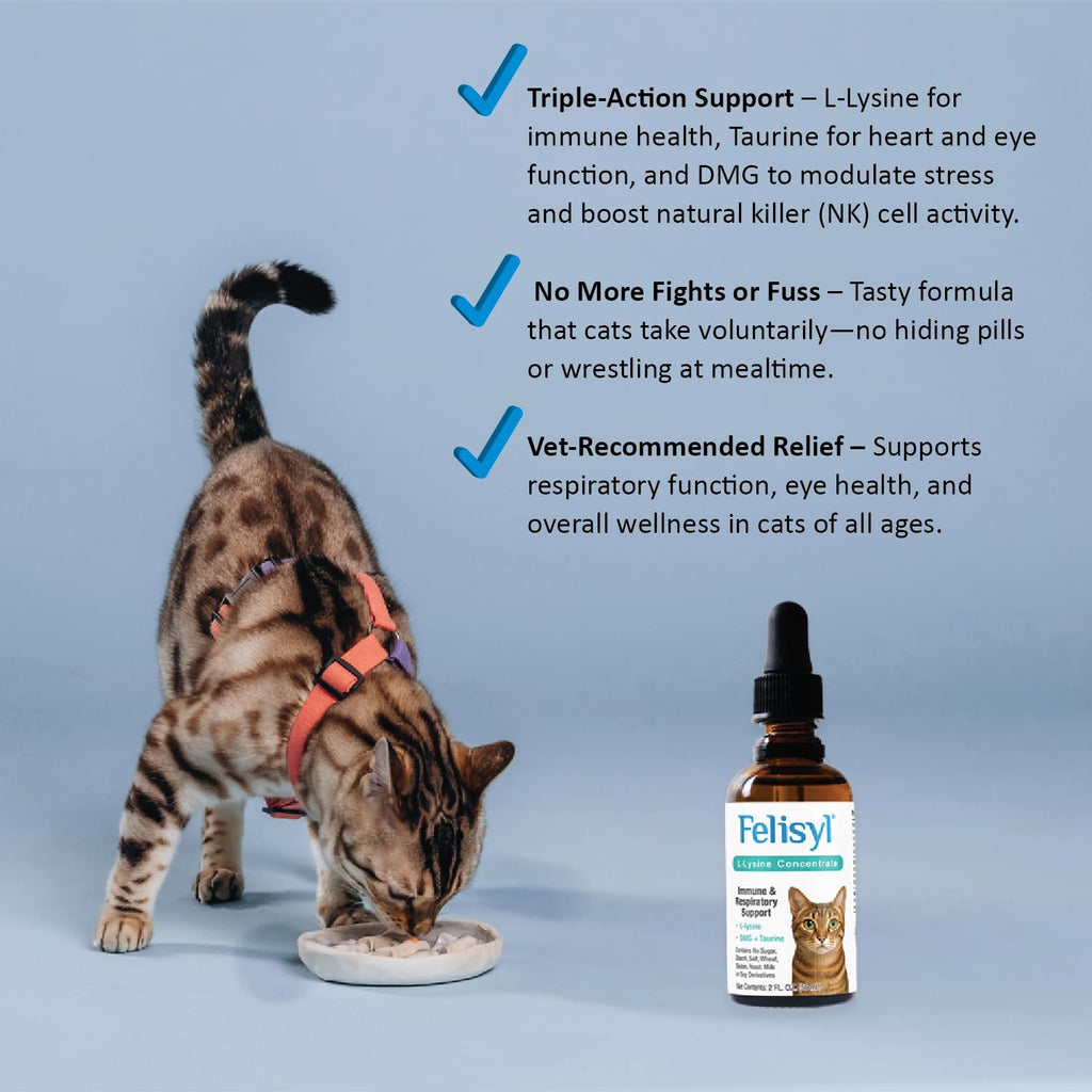 Natural L-Lysine for cat vitality