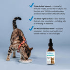Natural L-Lysine for cat vitality