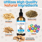natural l-lysine for feline health