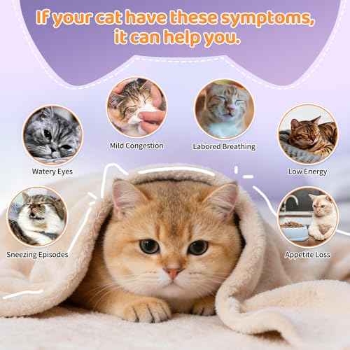 Natural L-Lysine for feline wellness