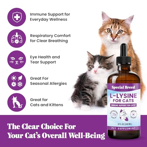 natural l-lysine for healthy skin