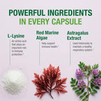 Natural L-Lysine powder alternative