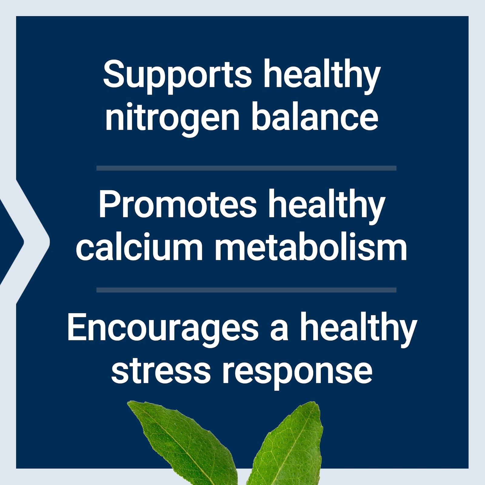 natural l-lysine powder for wellness