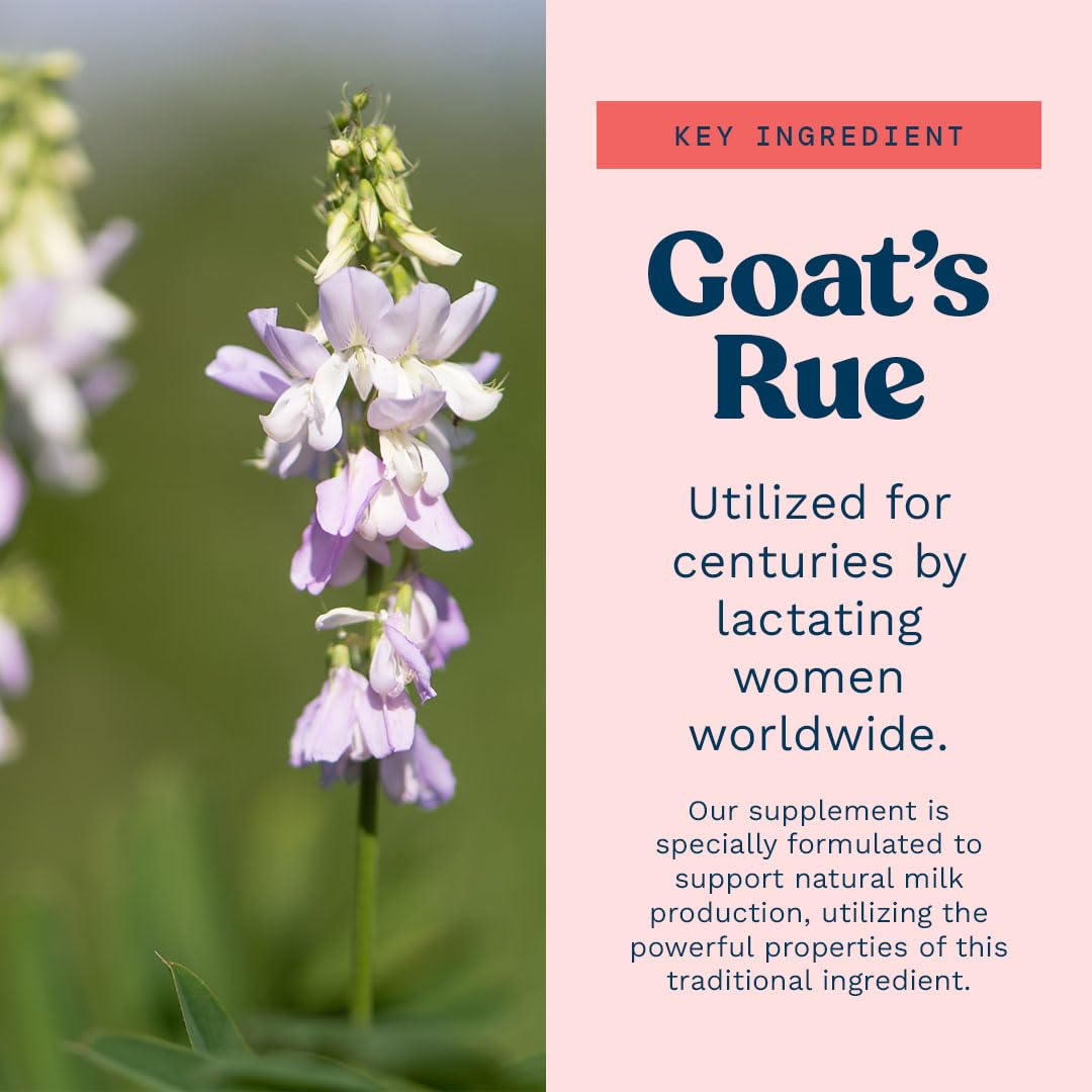 natural lactation aid for breastfeeding moms