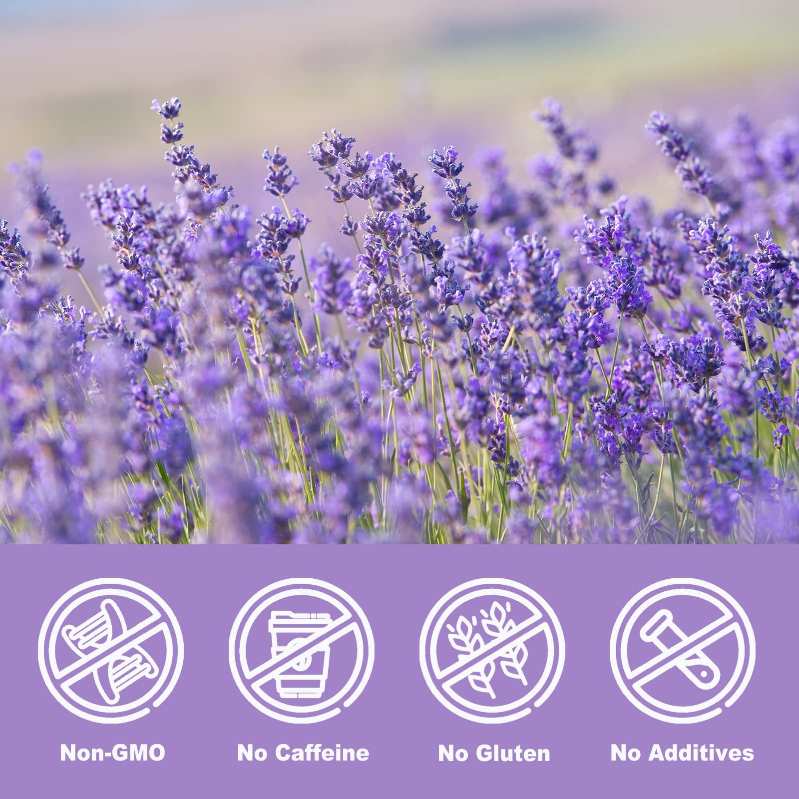 natural lavender for herbal infusions