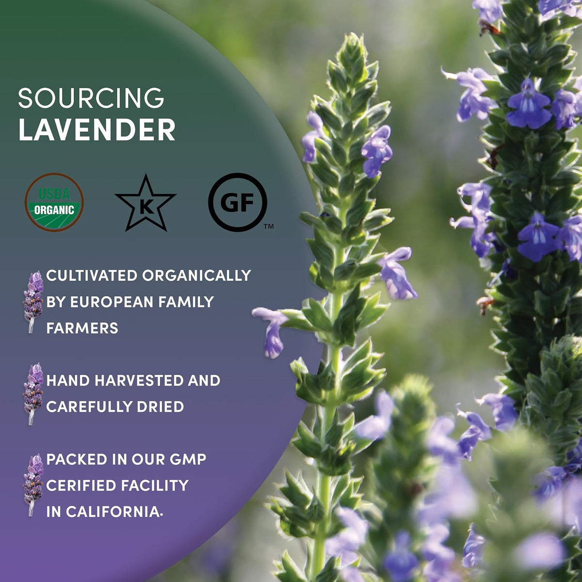 natural lavender for soothing blends