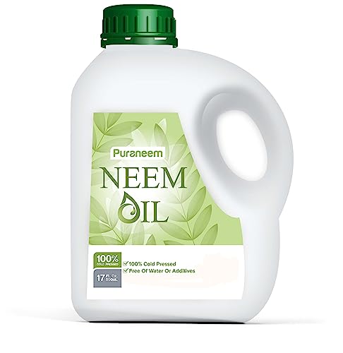 natural leaf polish for indoor plants