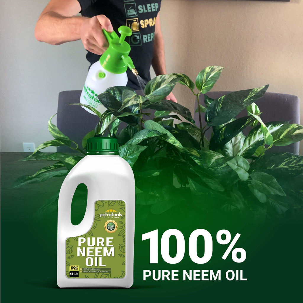 natural leaf polish for plants