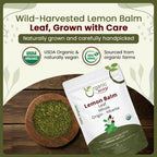natural lemon balm leaf infusion