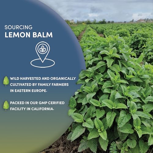 natural lemon balm tea benefits
