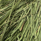 Natural lemongrass herbal benefits