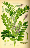 natural licorice root extract benefits