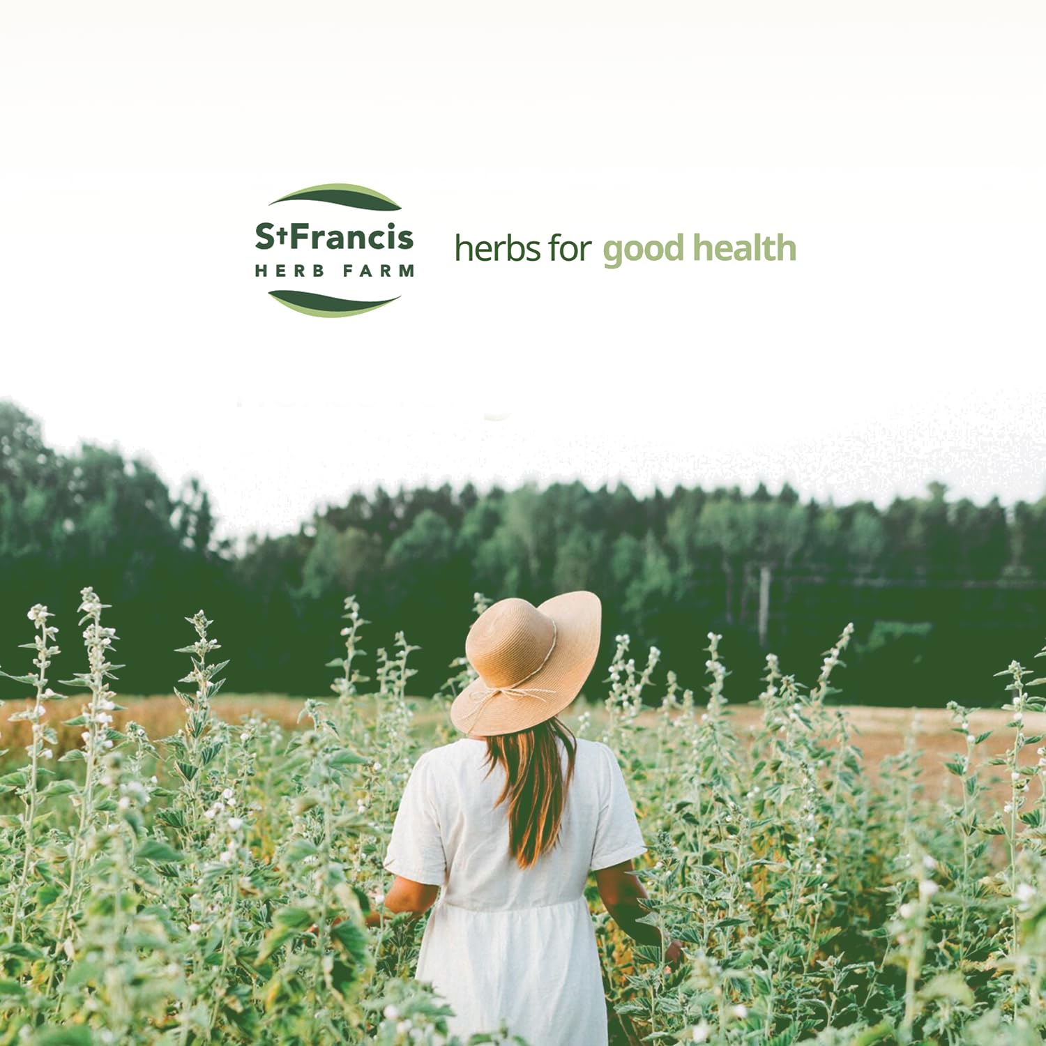 natural licorice root health benefits