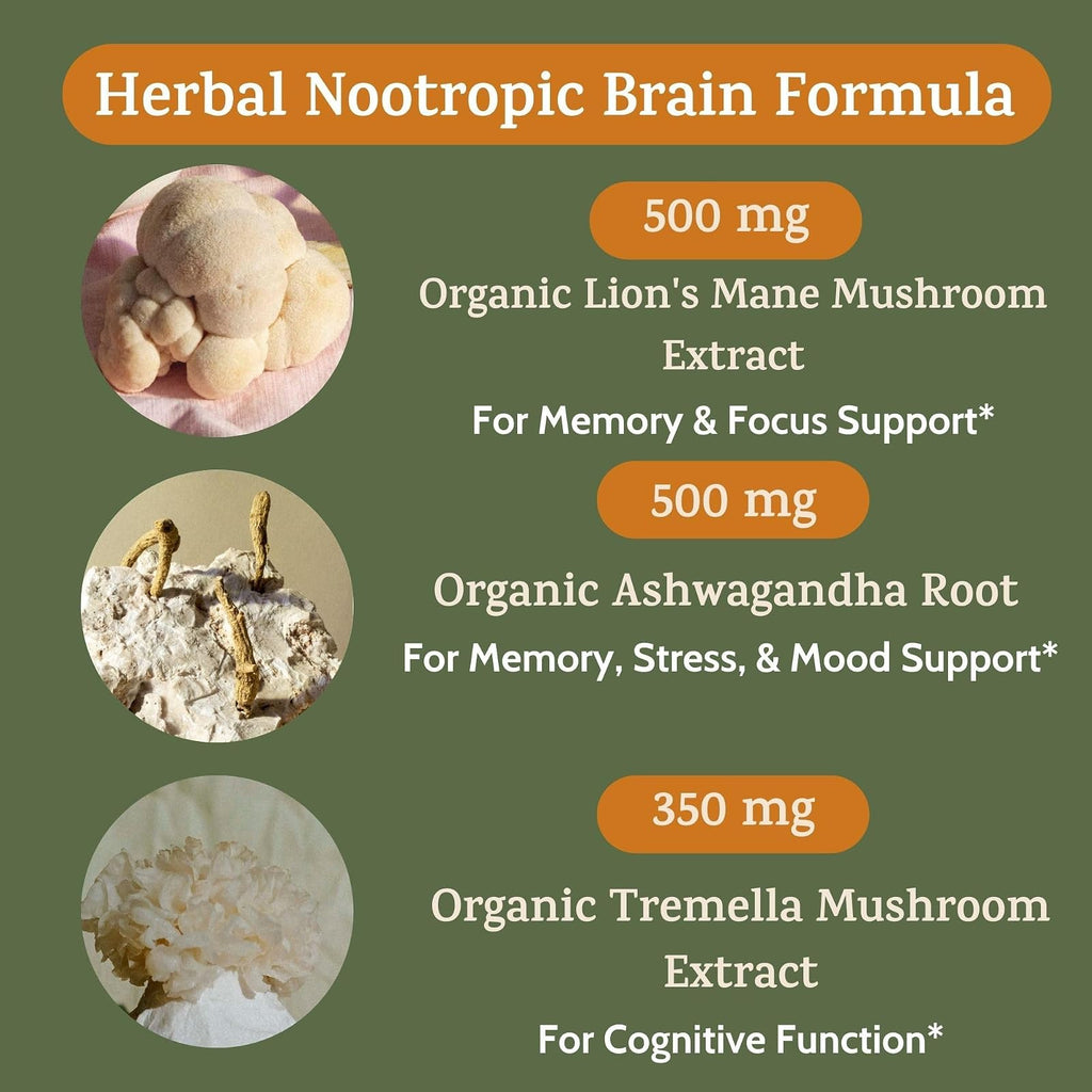 natural lion's mane adaptogen benefits