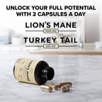 natural lion's mane brain booster