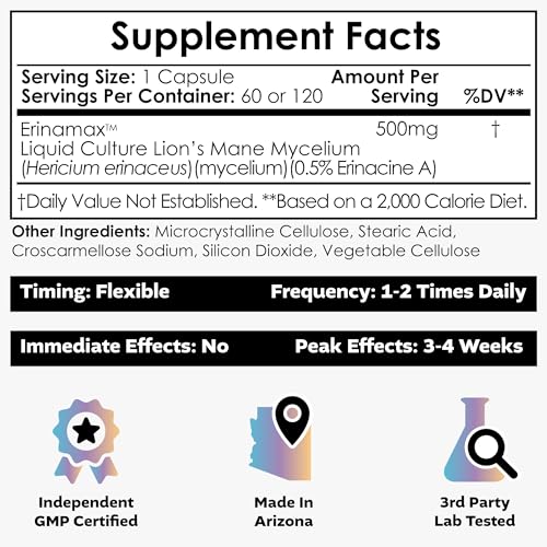 natural lion's mane brain support
