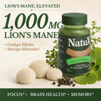 natural Lion's Mane brain support