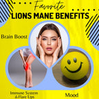 natural lion's mane capsules for focus