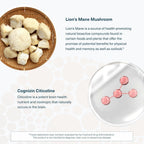 natural lion's mane cognitive booster