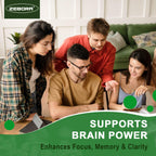 natural lion's mane cognitive support