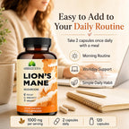natural lion's mane cognitive support