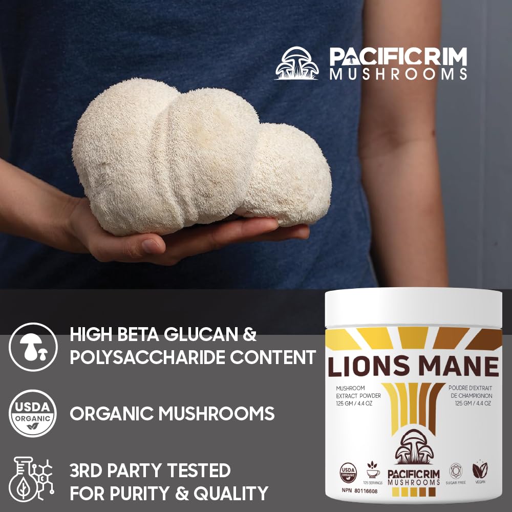 natural lion's mane extract for focus