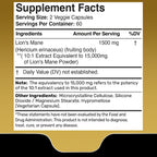 natural lion's mane for cognitive support