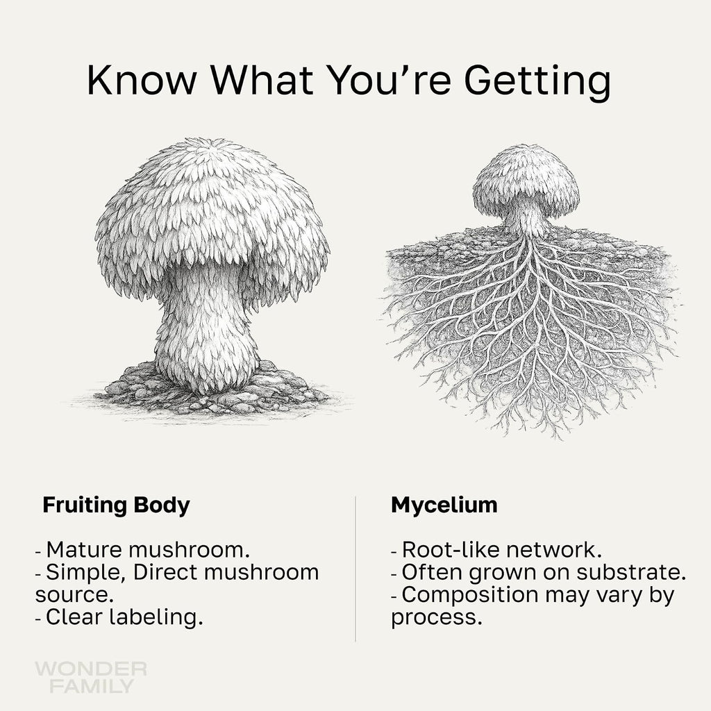 natural lion's mane for cognitive support