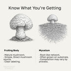 natural lion's mane for cognitive support