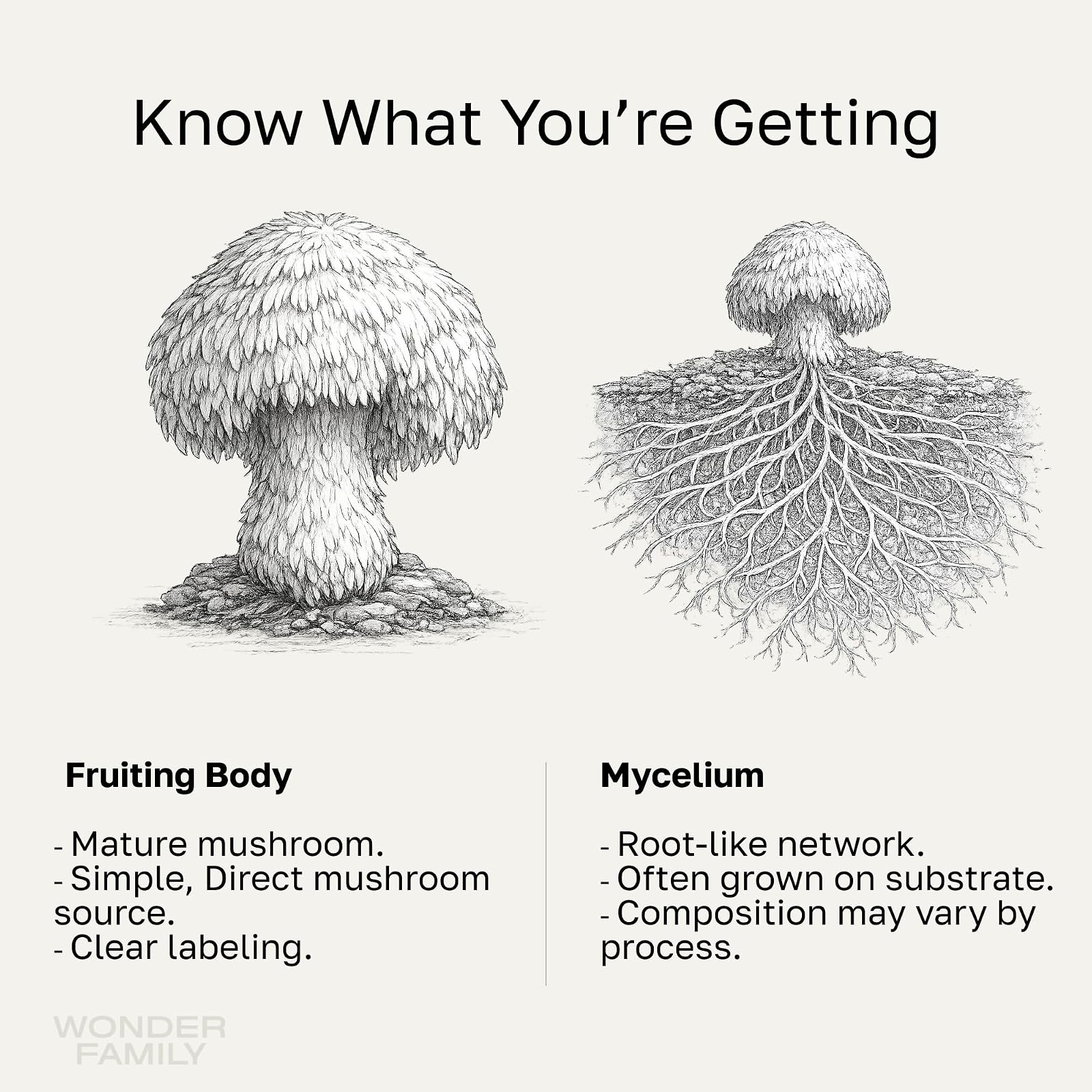 natural lion's mane for cognitive support