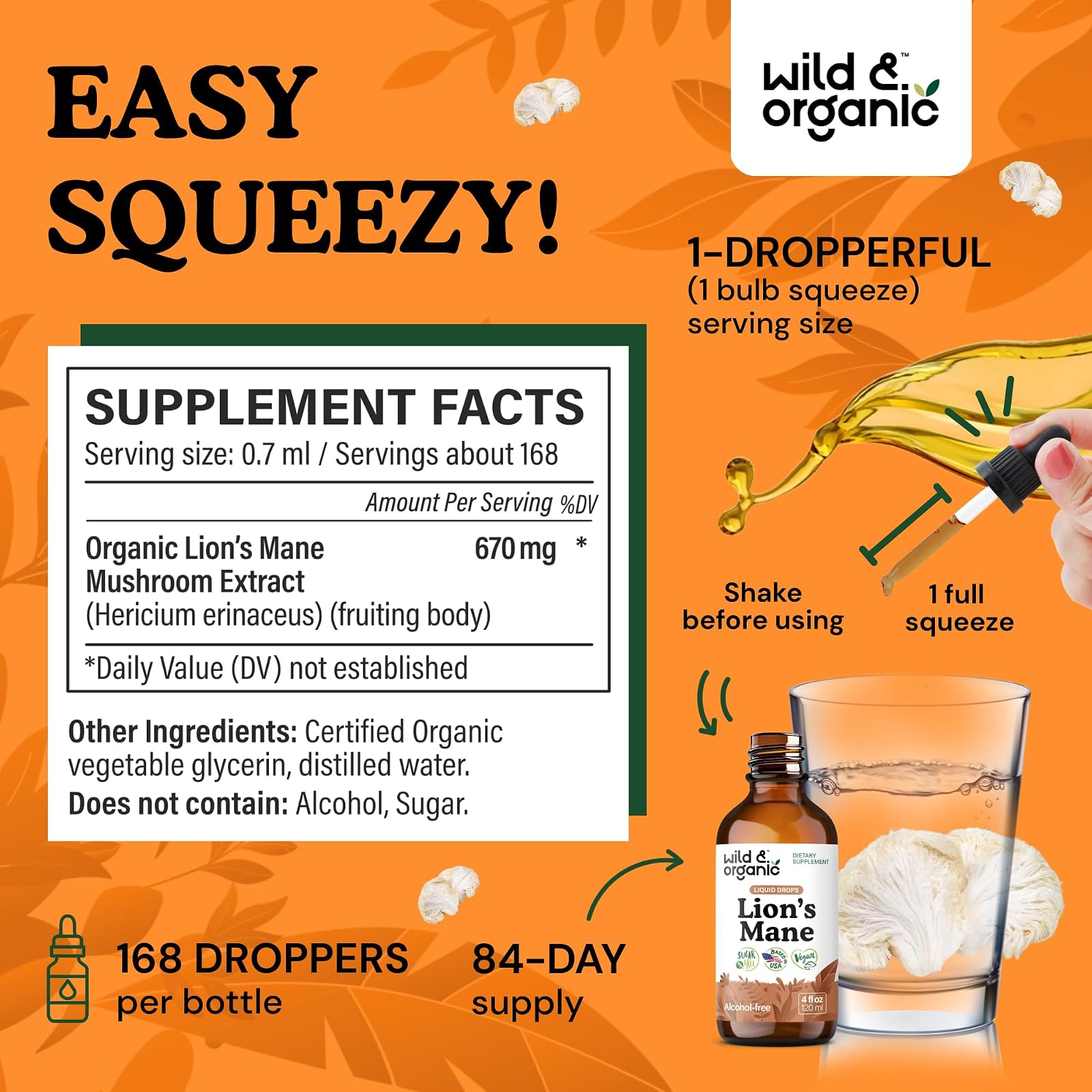 natural lion's mane for cognitive support