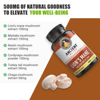 natural lion's mane for focus