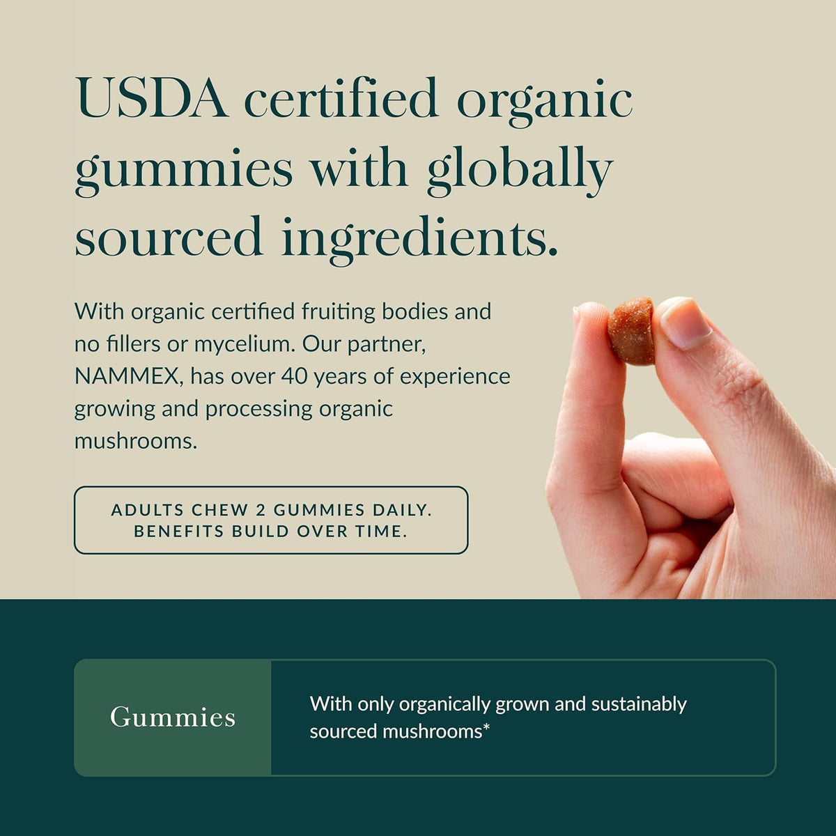 natural lion's mane gummies for wellness