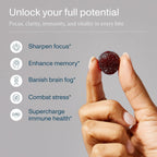natural lion's mane mushroom benefits