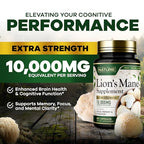 natural lion's mane mushroom benefits