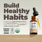 natural lion's mane mushroom extract