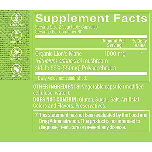 Natural Lion's Mane mushroom supplement benefits