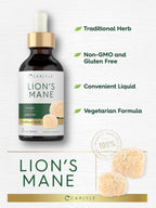 natural lion's mane mushroom supplement