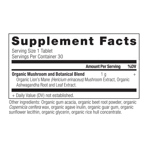 natural lion's mane mushroom supplement