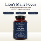 natural lion's mane supplement benefits