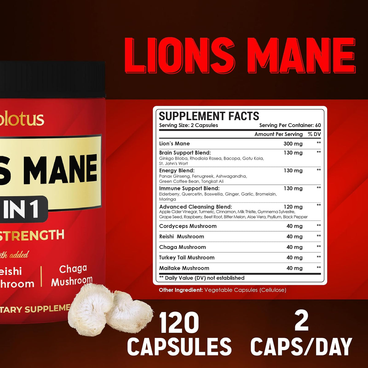 natural lion's mane supplement capsules