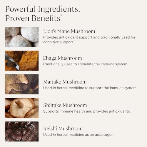 natural lion's mane supplement capsules