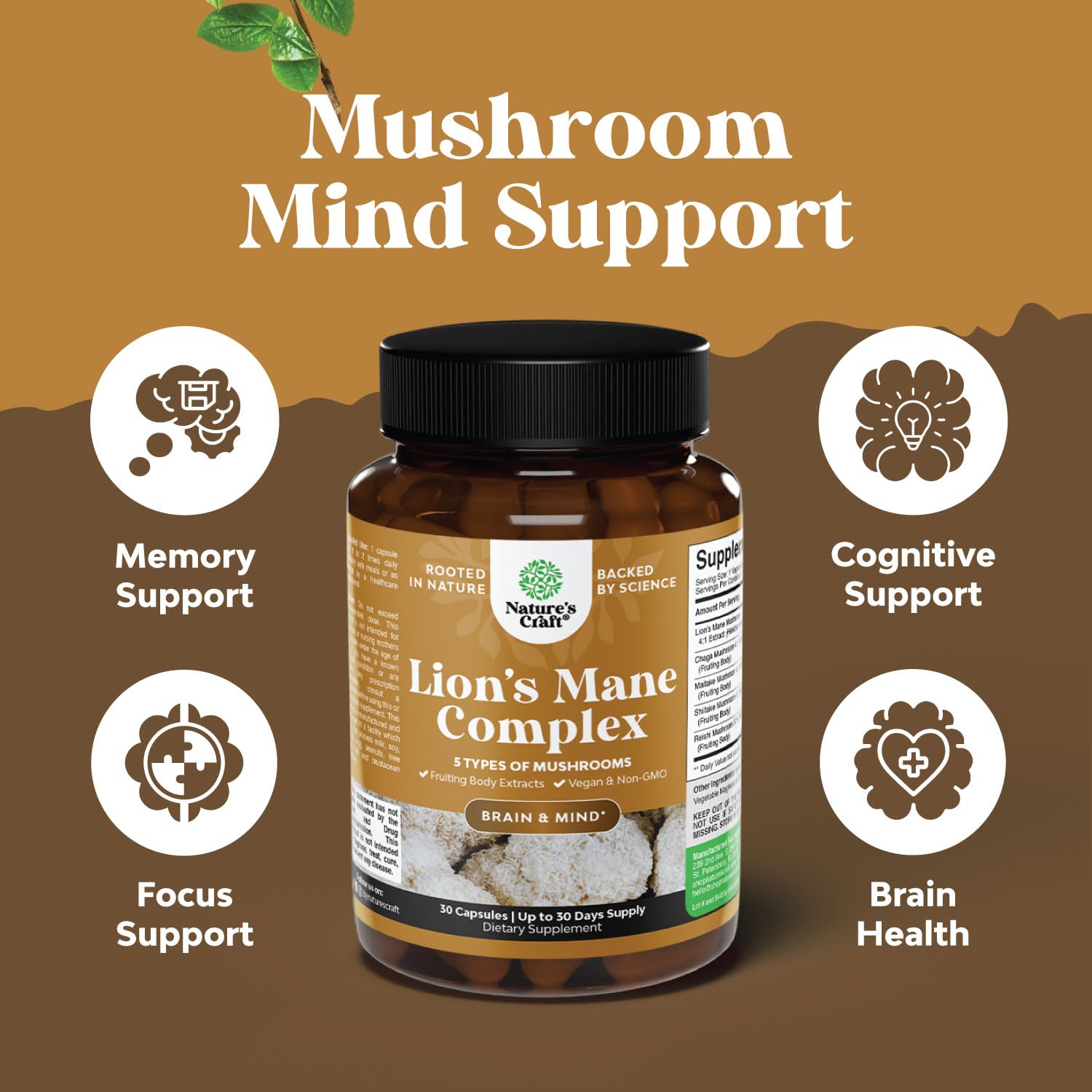 natural lion's mane supplement capsules